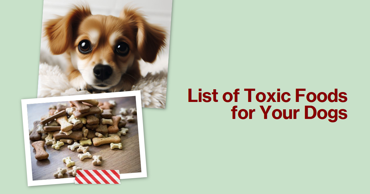 List of Toxic food for dogs stored at home - OURPETTAILS
