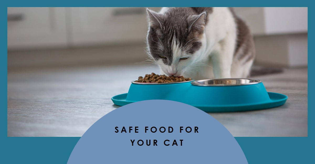 Printable list of food cats can't eat : Most Important for Pet owners ...
