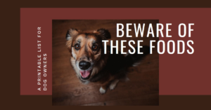 Printable list of toxic foods for dogs: A Must Read Guide - OURPETTAILS