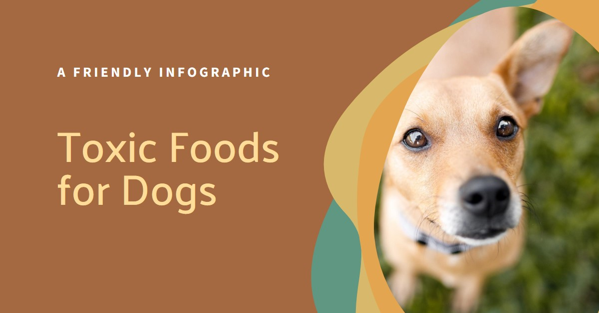 Printable list of toxic foods for dogs: A Must Read Guide - OURPETTAILS
