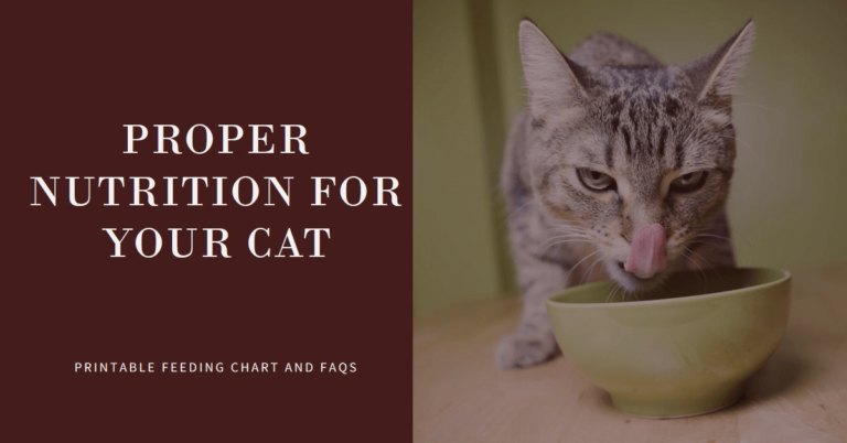 Free Printable Cat Feeding Chart: Wet and Dry Food Guidelines by Weight ...